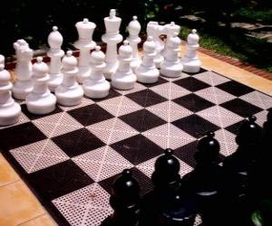 Puzzles de Tablero de ajedrez con todas las piezas colocadas para ...
