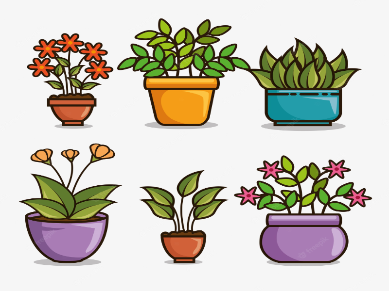 Puzzle de Plantas con flores , rompecabezas de Puzzle de Plantas con flores , rompecabezas de
